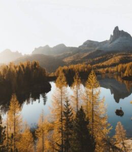 What is Shaping in Psychology? - Wellness Psychology